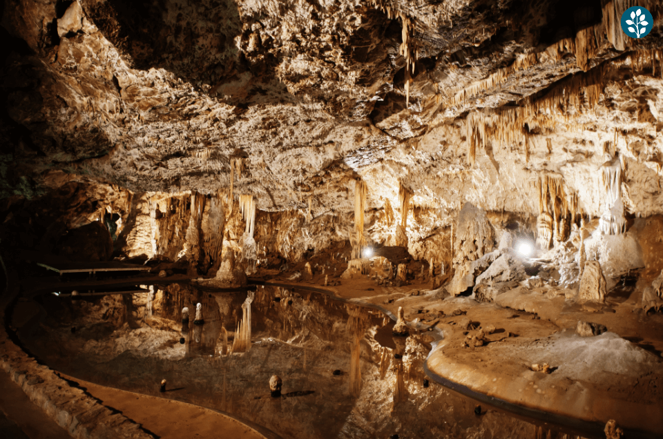 Postojna Cave: Journeying Through the Underground Paradise | Explore ...